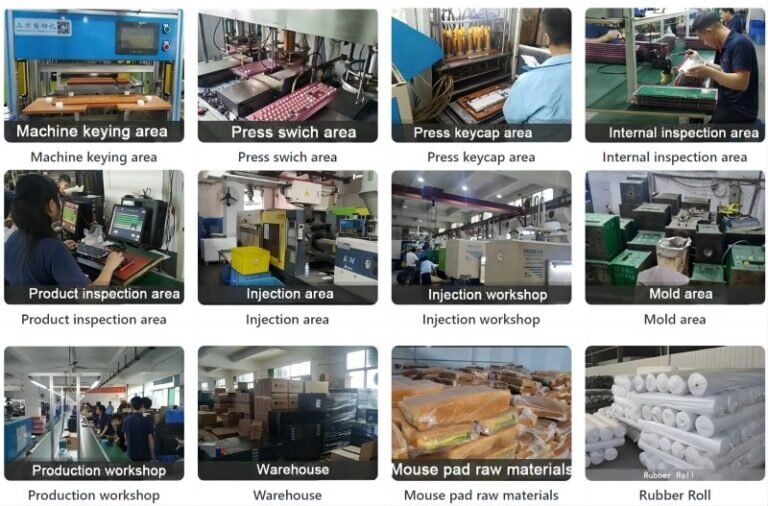 The World of Mouse Manufacturers- darshion